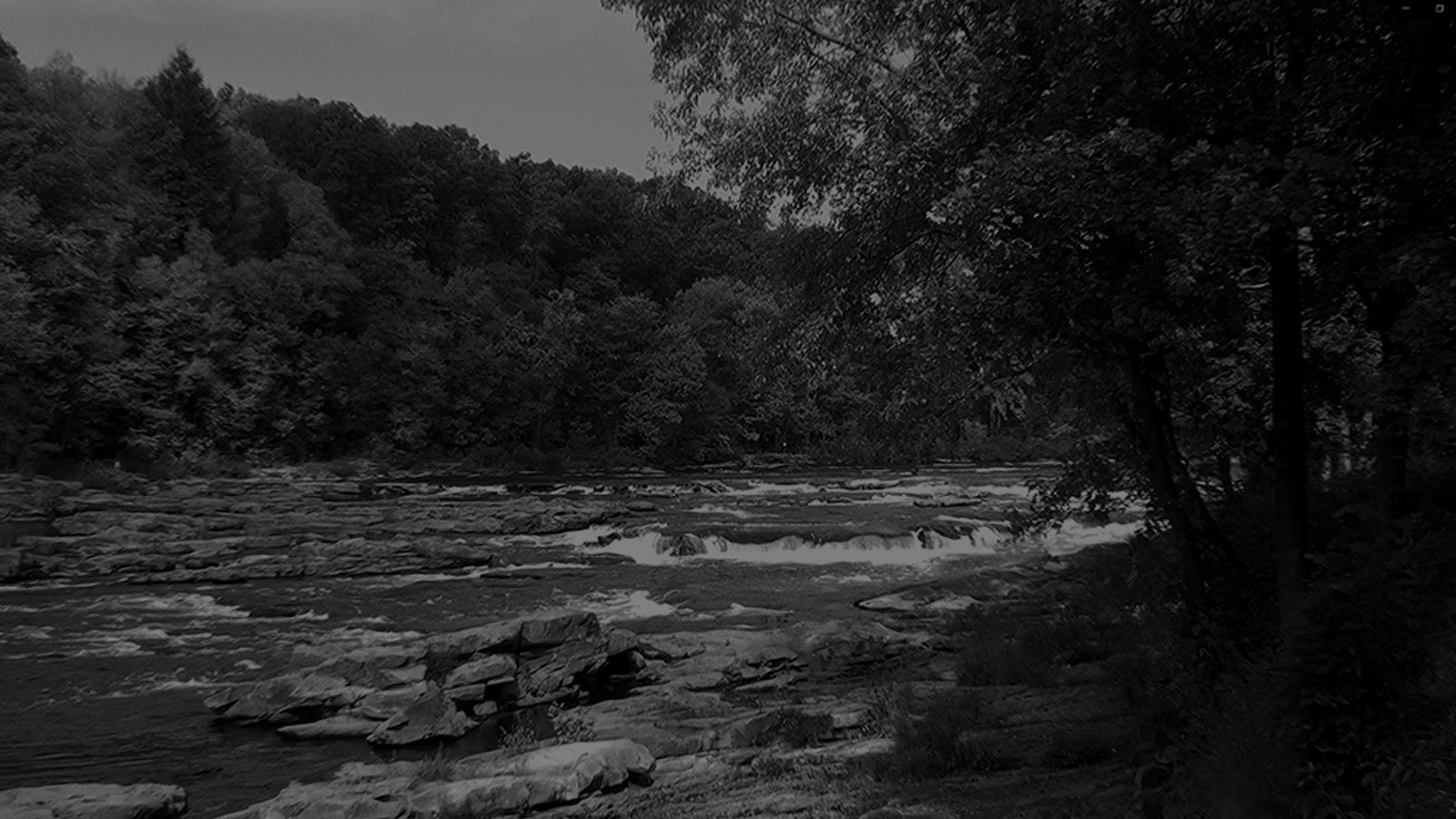 Richard Snodgrass - Author and Photographer